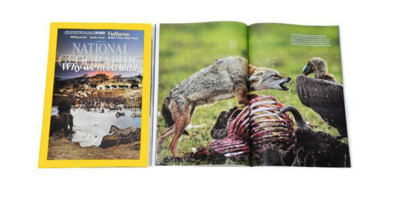 1-Year National Geographic Traveler Print Subscription (6 issues ...